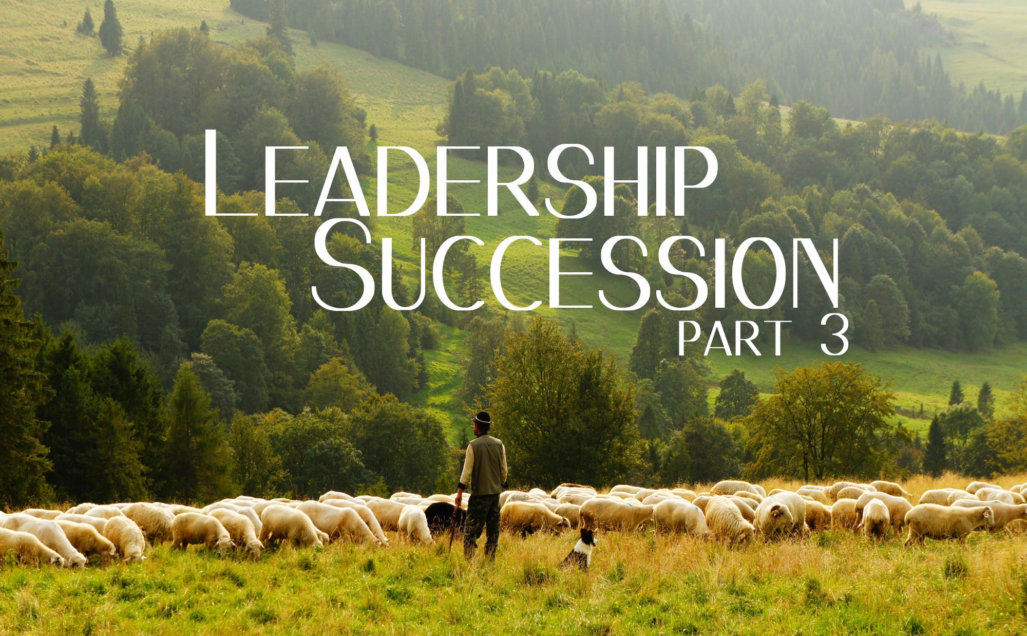 Biblical Succession Principles in Leadership | DOVE International